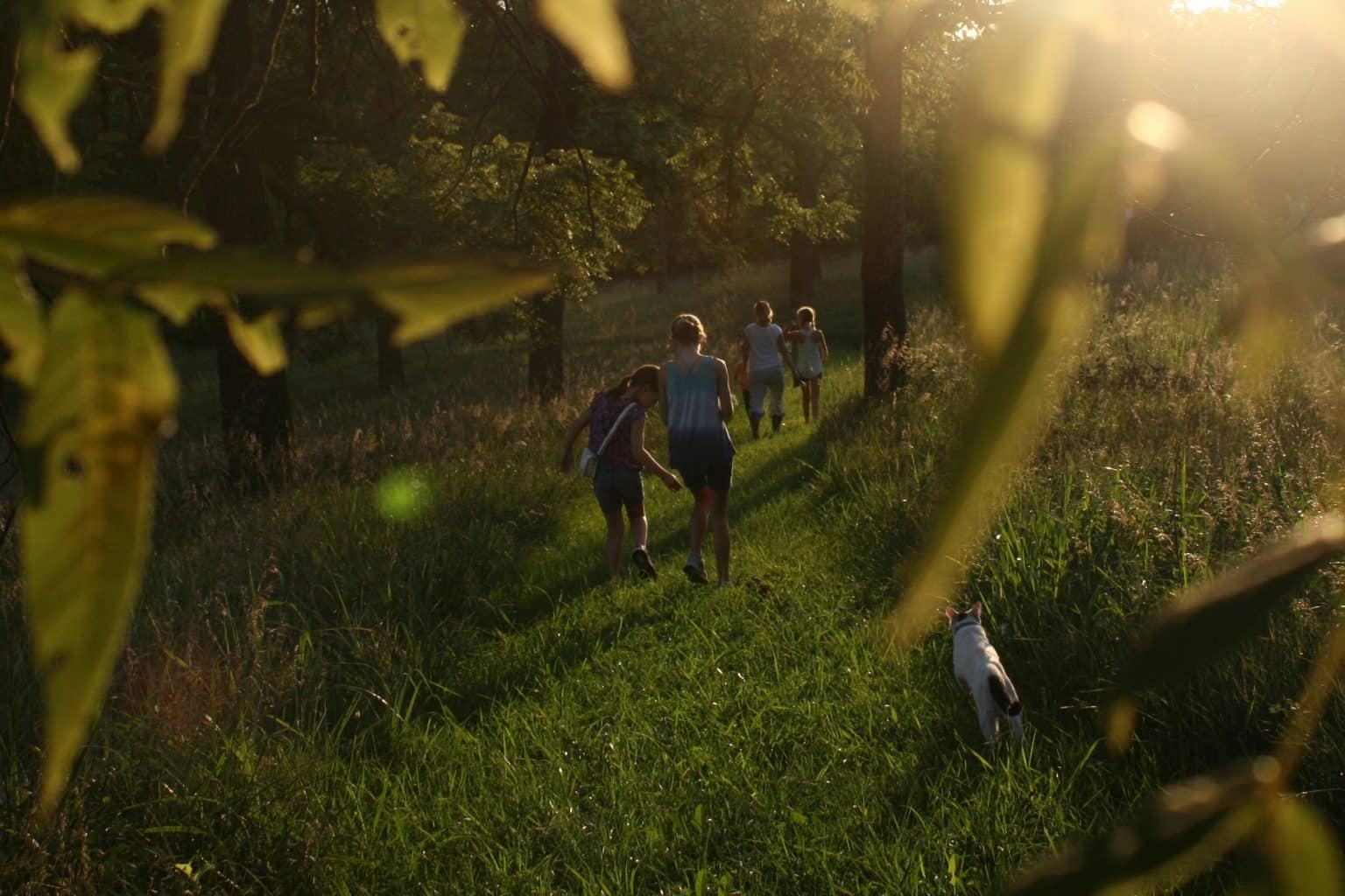 Client story: Getting life insurance with an autoimmune disease • Cole Murray Financial Advisers